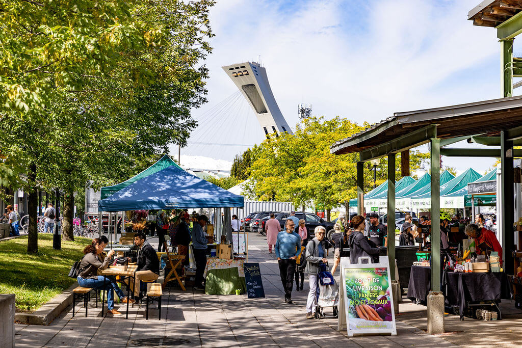 Where Can You Find the Best Local Food Markets in Montreal? - Samcon
