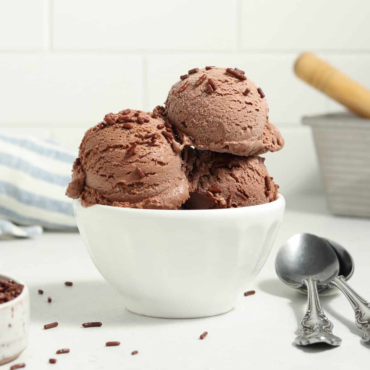 Vegan Ice Cream in Montreal: Top Dairy-Free Spots - Samcon